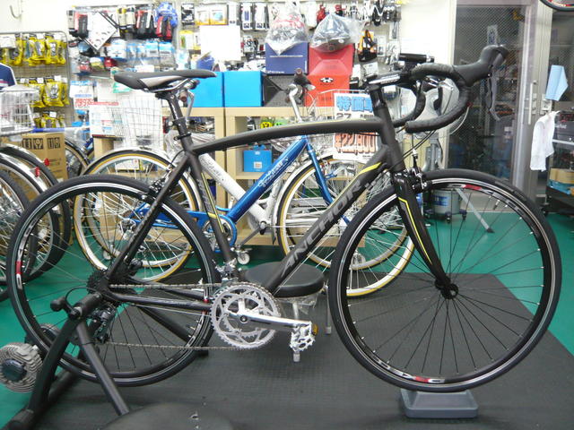 ANCHOR RFA3 EX 訳付き ②: ORANGE HEADの日記