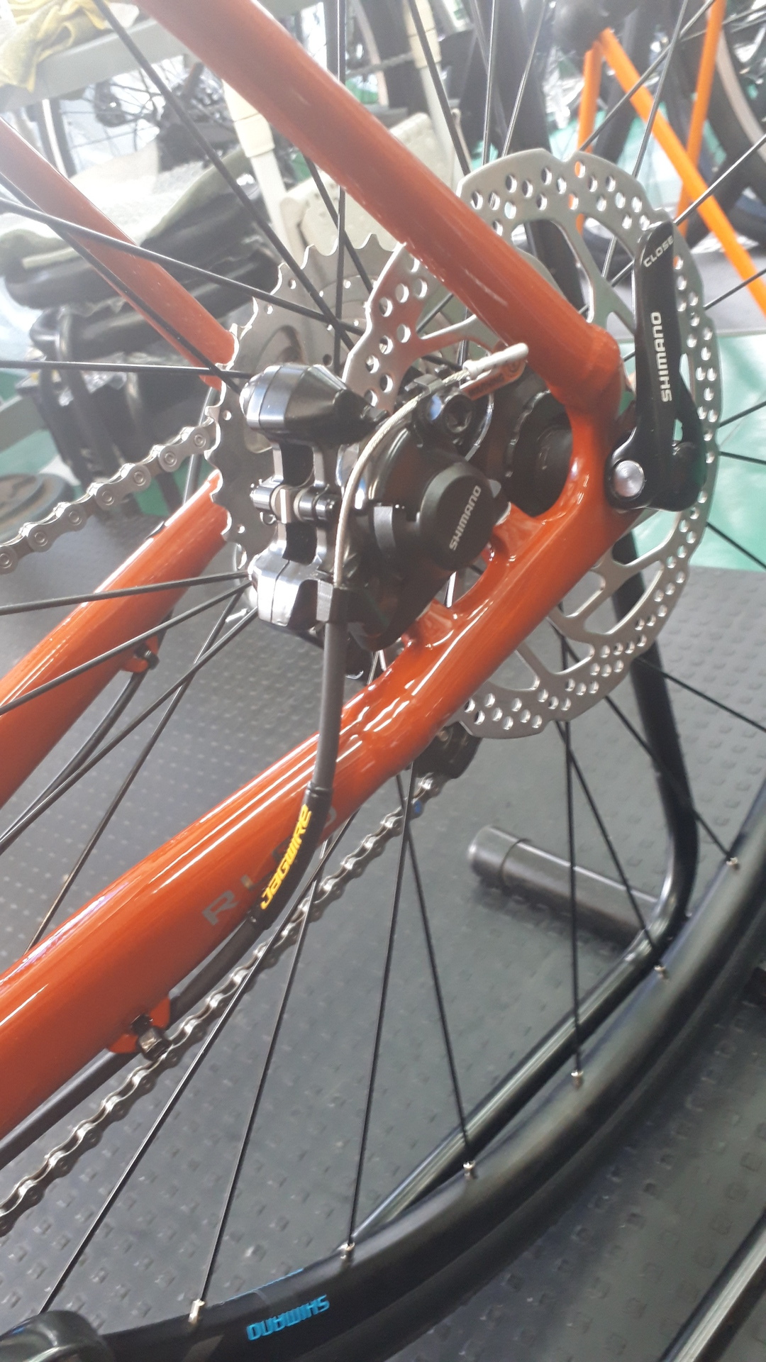 ANCHOR RL6D TIAGRA: ORANGE HEADの日記